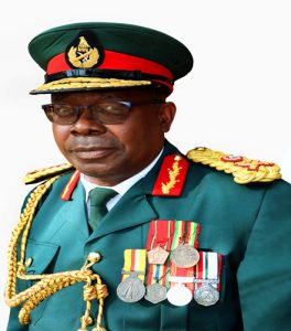 Organisation - Zimbabwe National Army